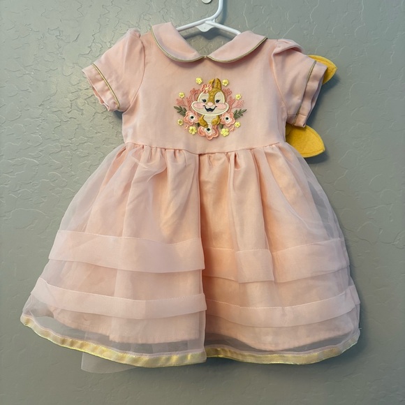 Disney | Dresses | Disney Baby Pink Embroidered Chipmunk Tulle Party ...